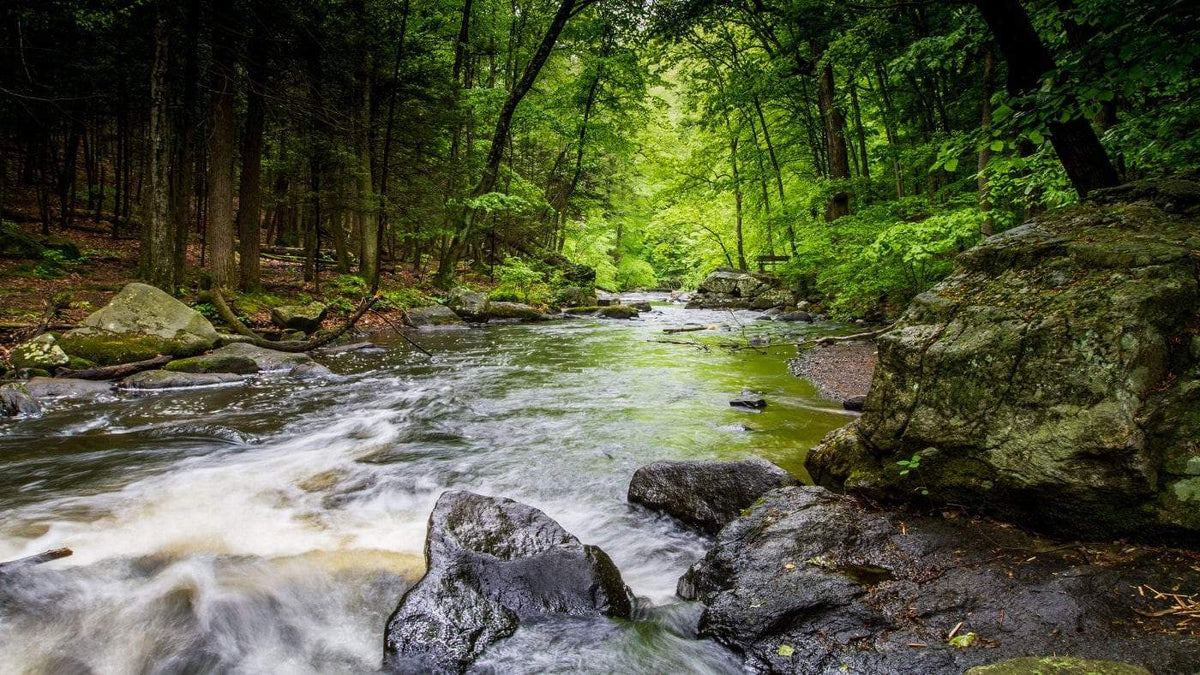 How to Ford A River Safely - LifeToGo